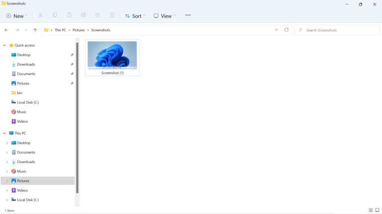 Take Screenshot on Windows 11 PC - TestingDocs