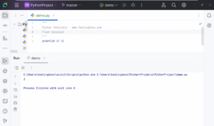 True Division and Floor Division in Python - TestingDocs