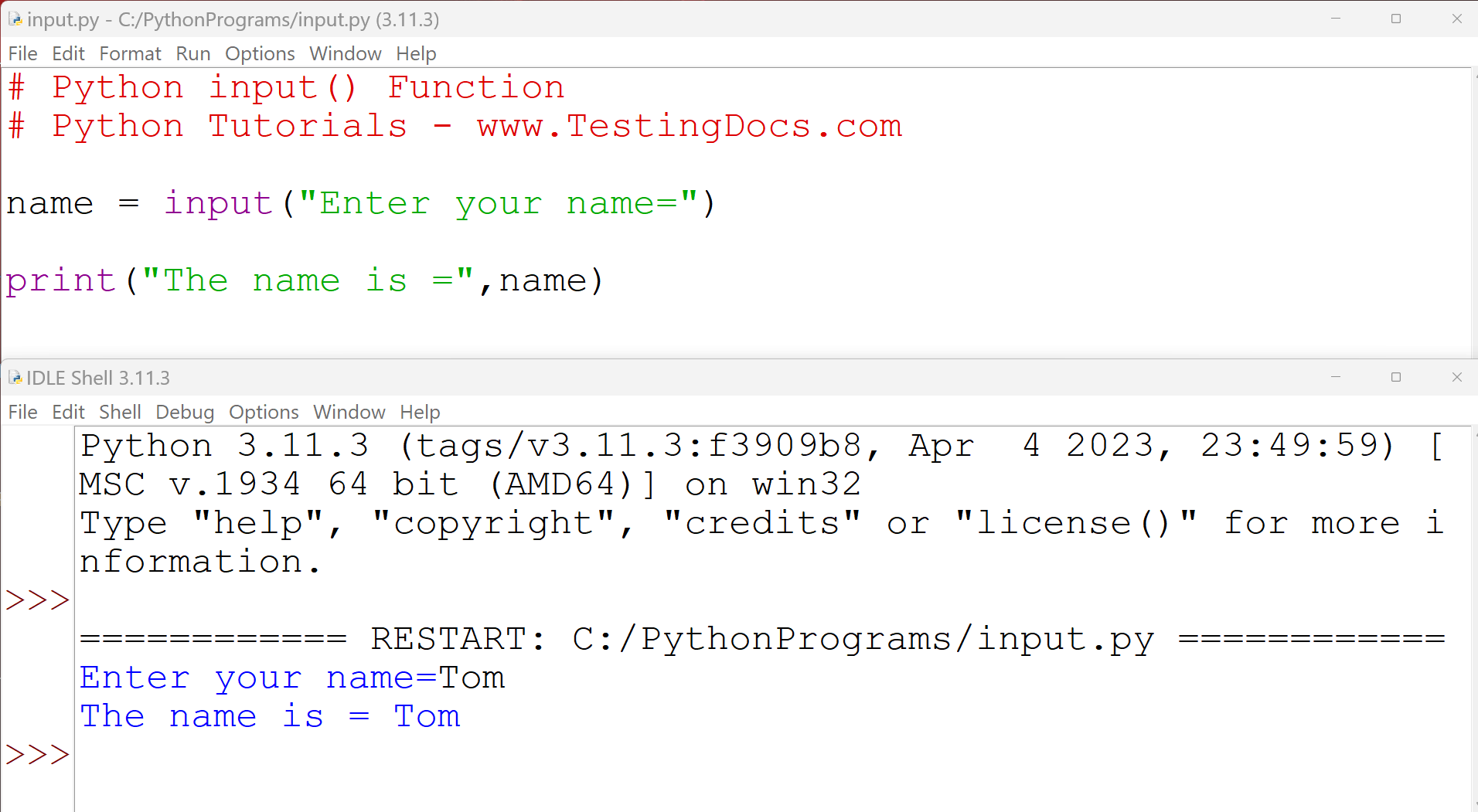 Python Input Function TestingDocs