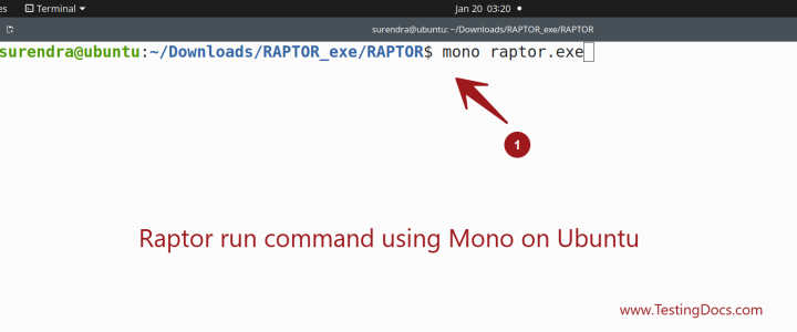 Raptor Flowchart | TestingDocs.com