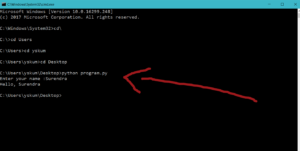 Running a Python Script - TestingDocs