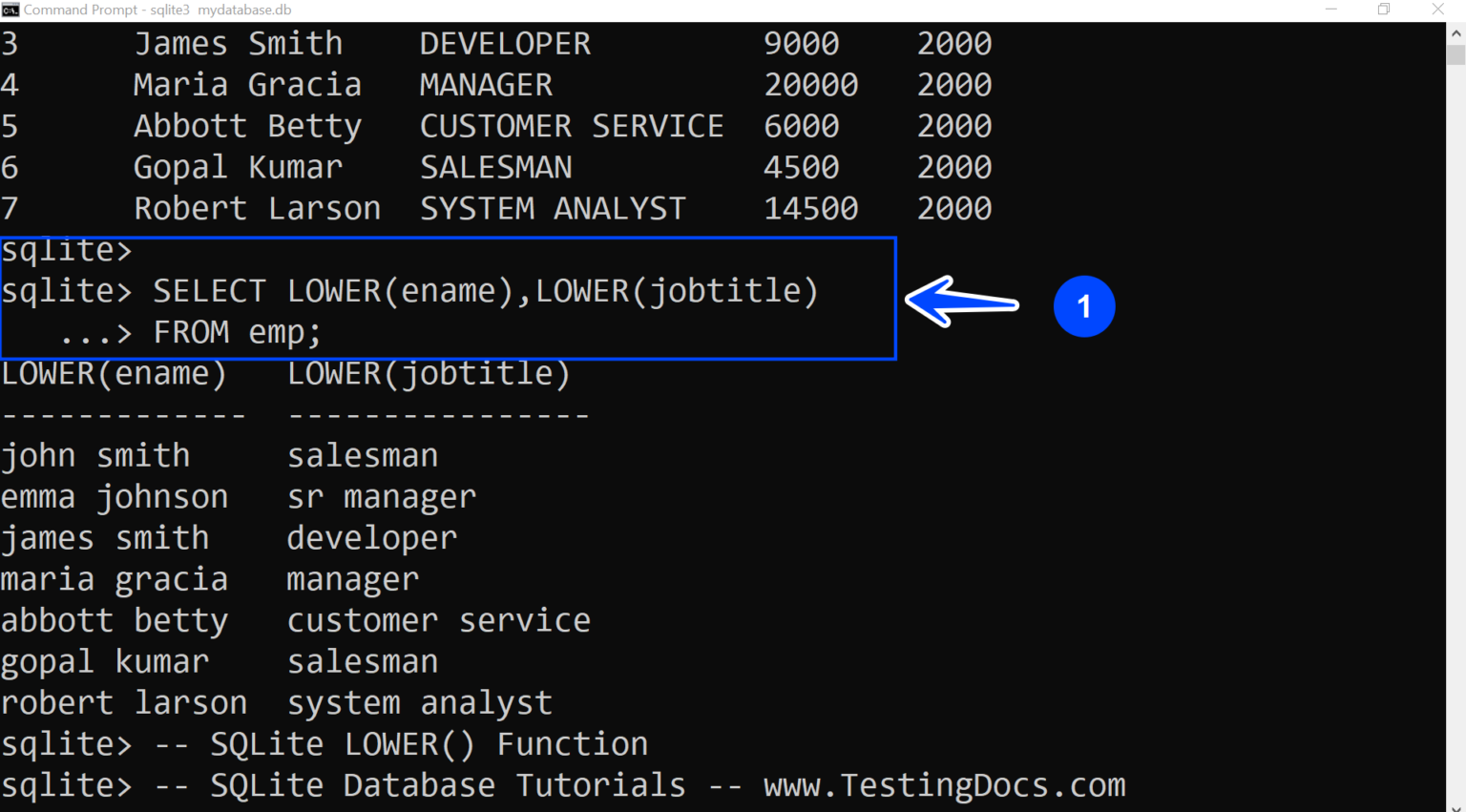 SQLite LOWER() Function - TestingDocs