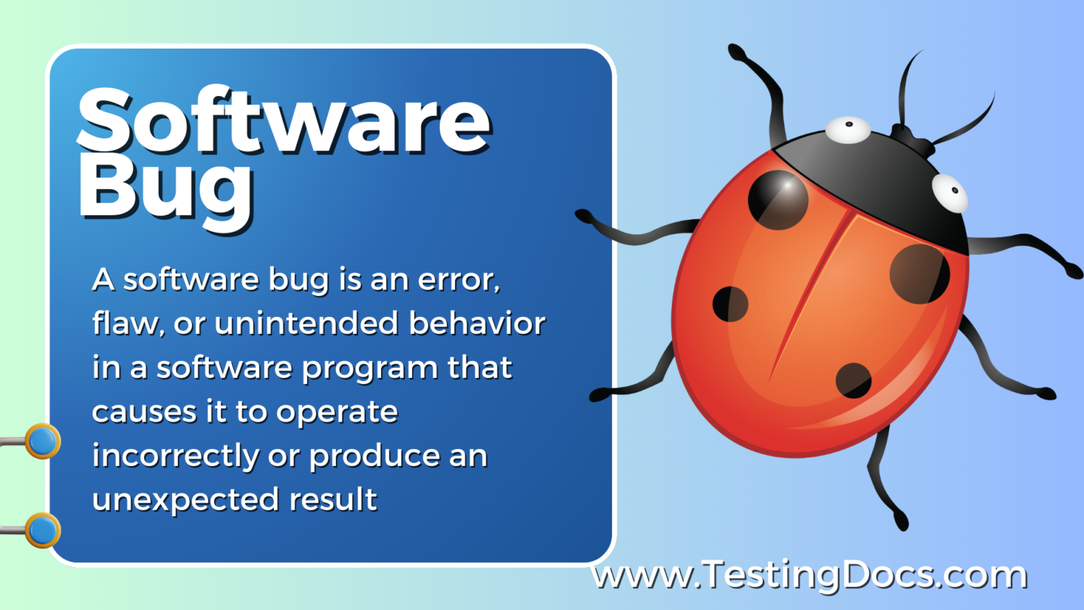 Software Bug - TestingDocs.com