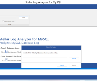 Download & Install MySQL on Windows 11 - TestingDocs.com