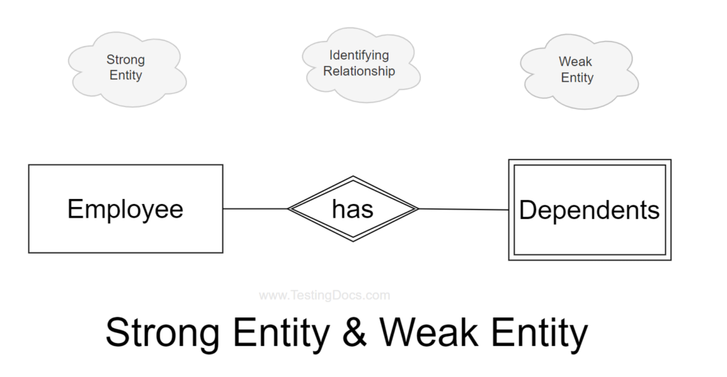 Types Of Entity Sets Testingdocs