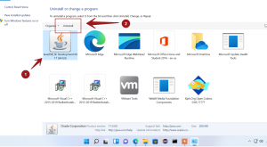 Uninstall Java on Windows 11 - TestingDocs