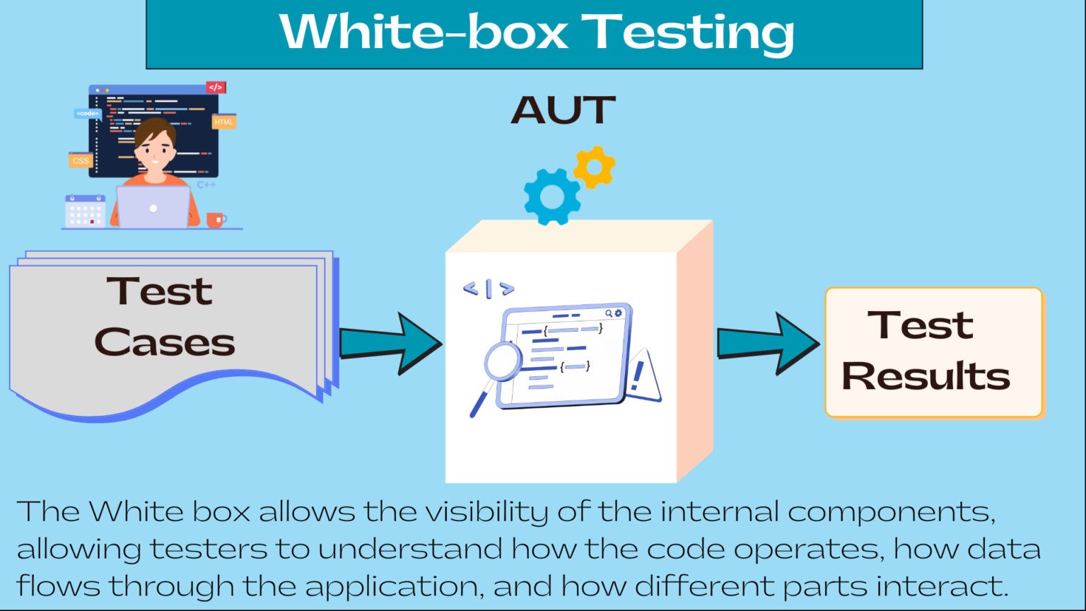 White Box Testing | TestingDocs
