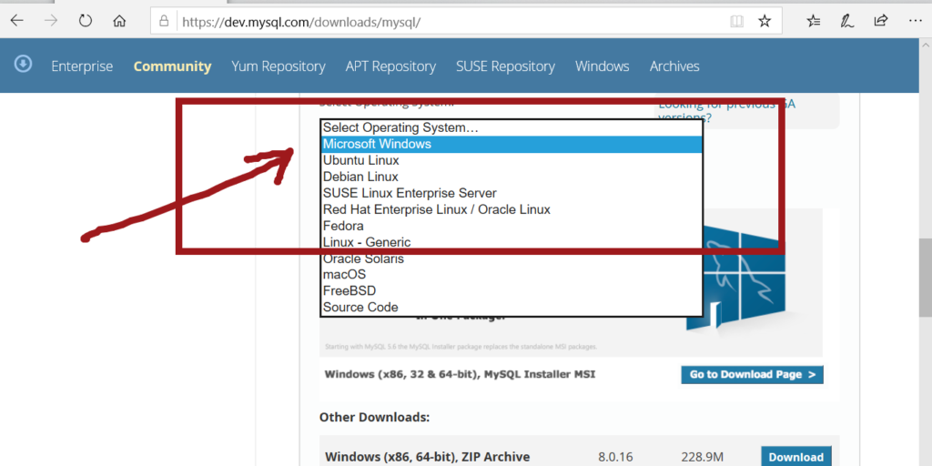 MySQL Community Edition Download on Windows - TestingDocs