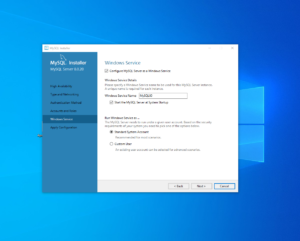 MySQL Server Install Options - TestingDocs.com