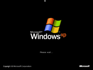 Windows XP Professional Install - TestingDocs.com