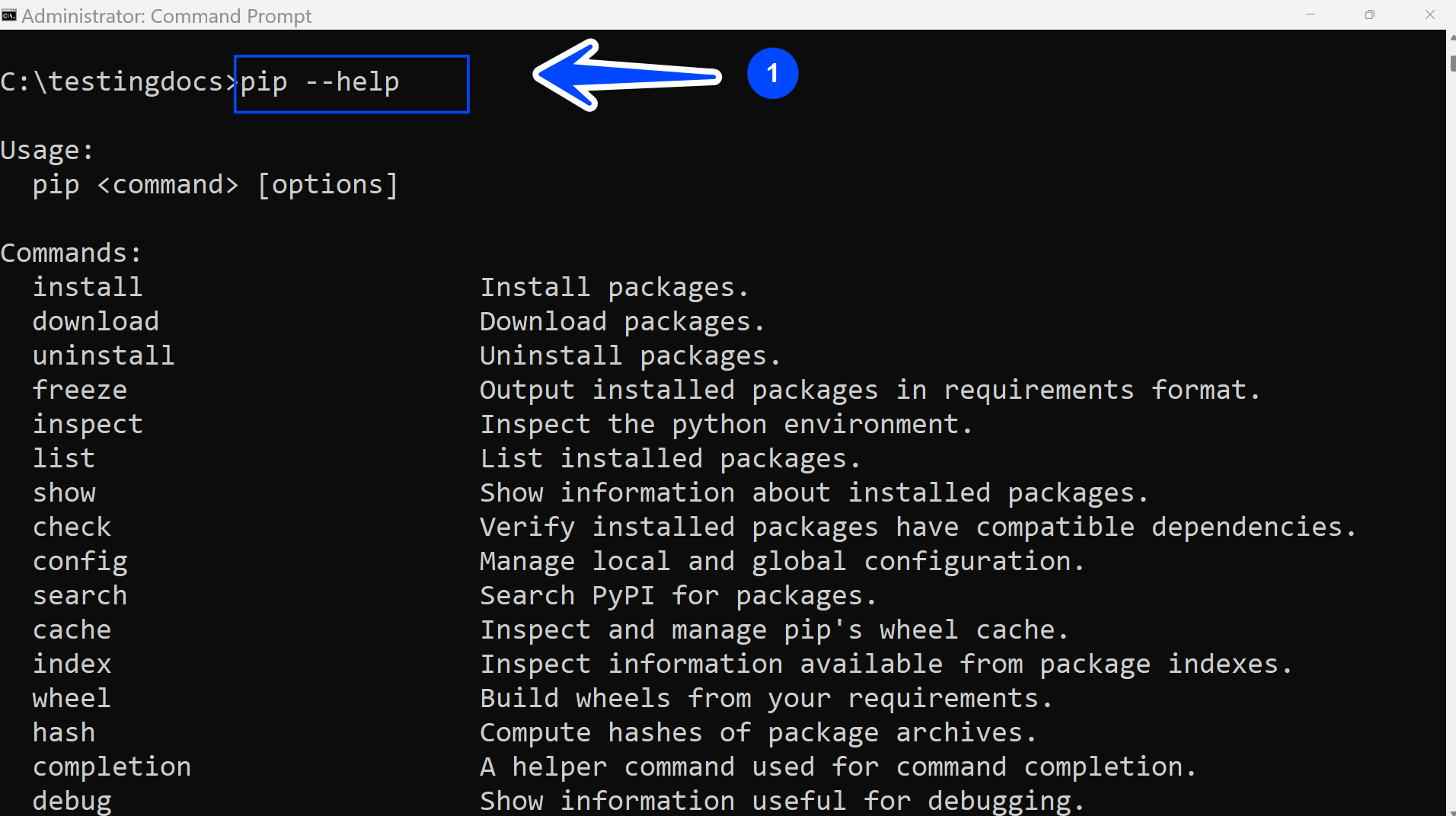 Python PIP TestingDocs