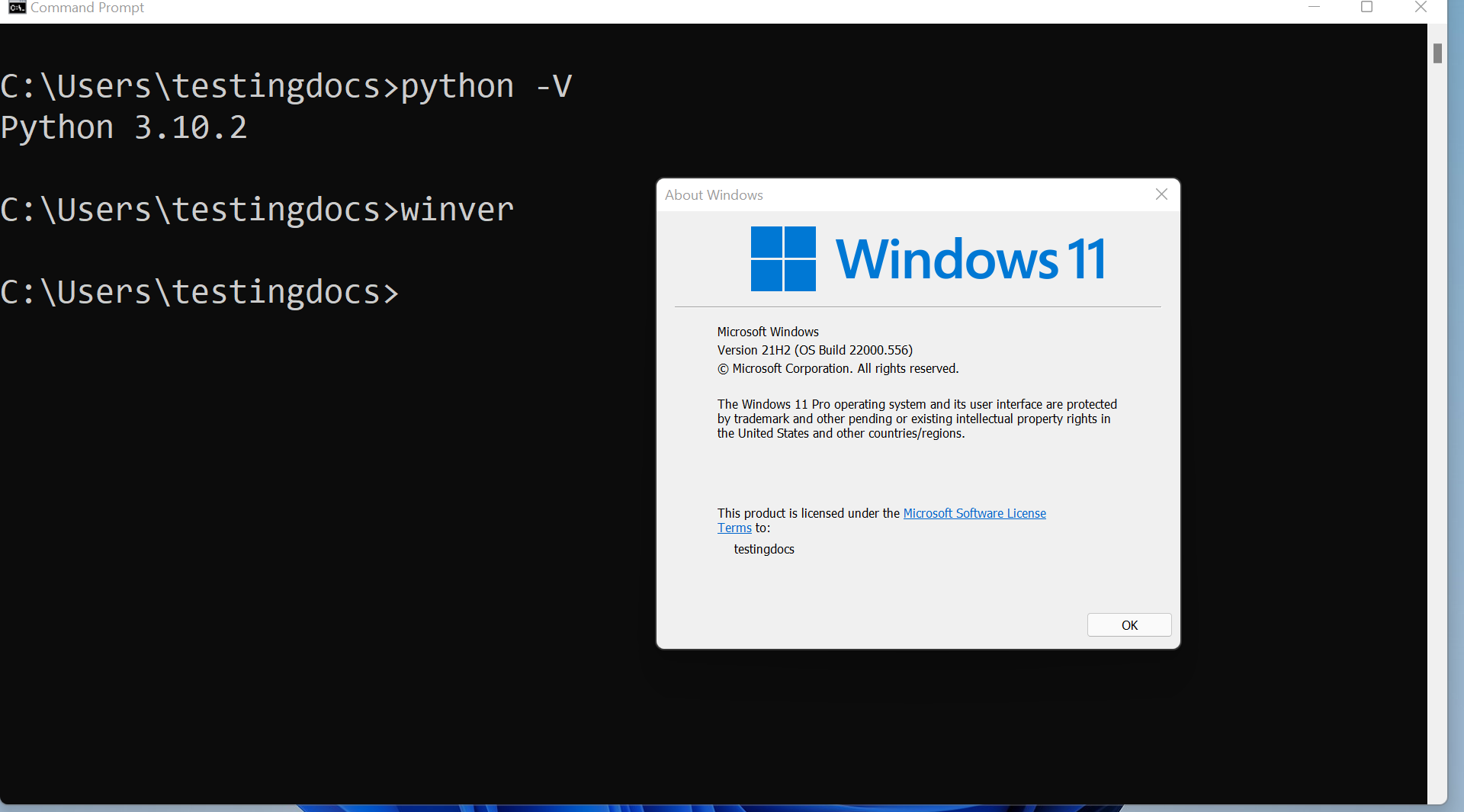 Install Python On Windows 11 TestingDocs